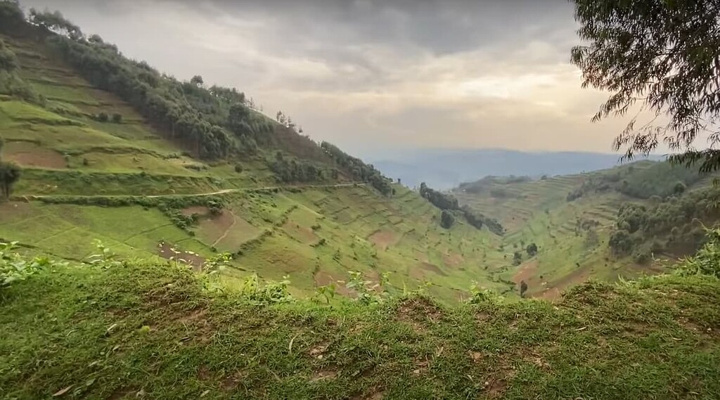 @sani amefanya kazi buana kule mau forest - News & Politics - Kenya Talk