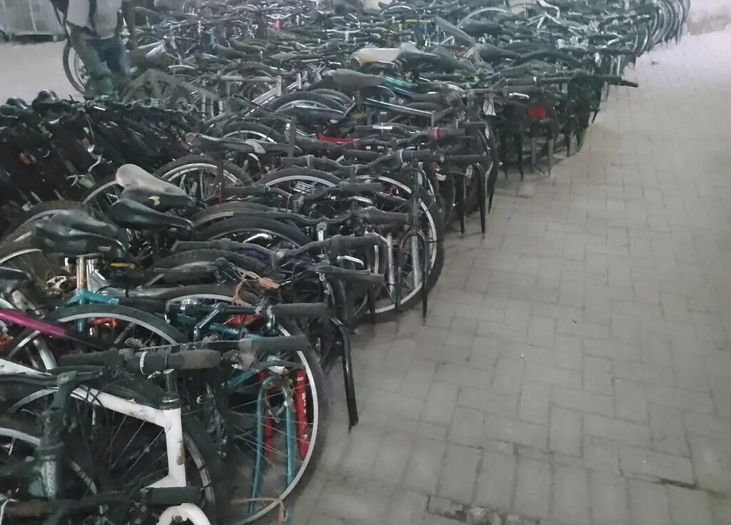 Mali Safi Mali Safi Bei ya Christmas na Mwaka Mpya - Business - Kenya Talk