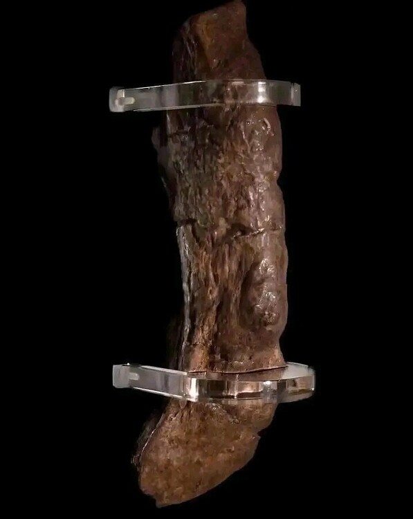 The largest human poop in the world - General - Kenya Talk