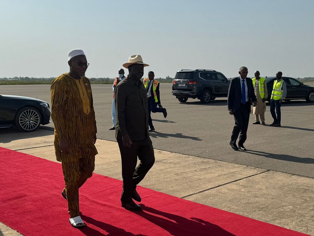 Mzee ni maredcarpet tu kule Gambia - News & Politics - Kenya Talk