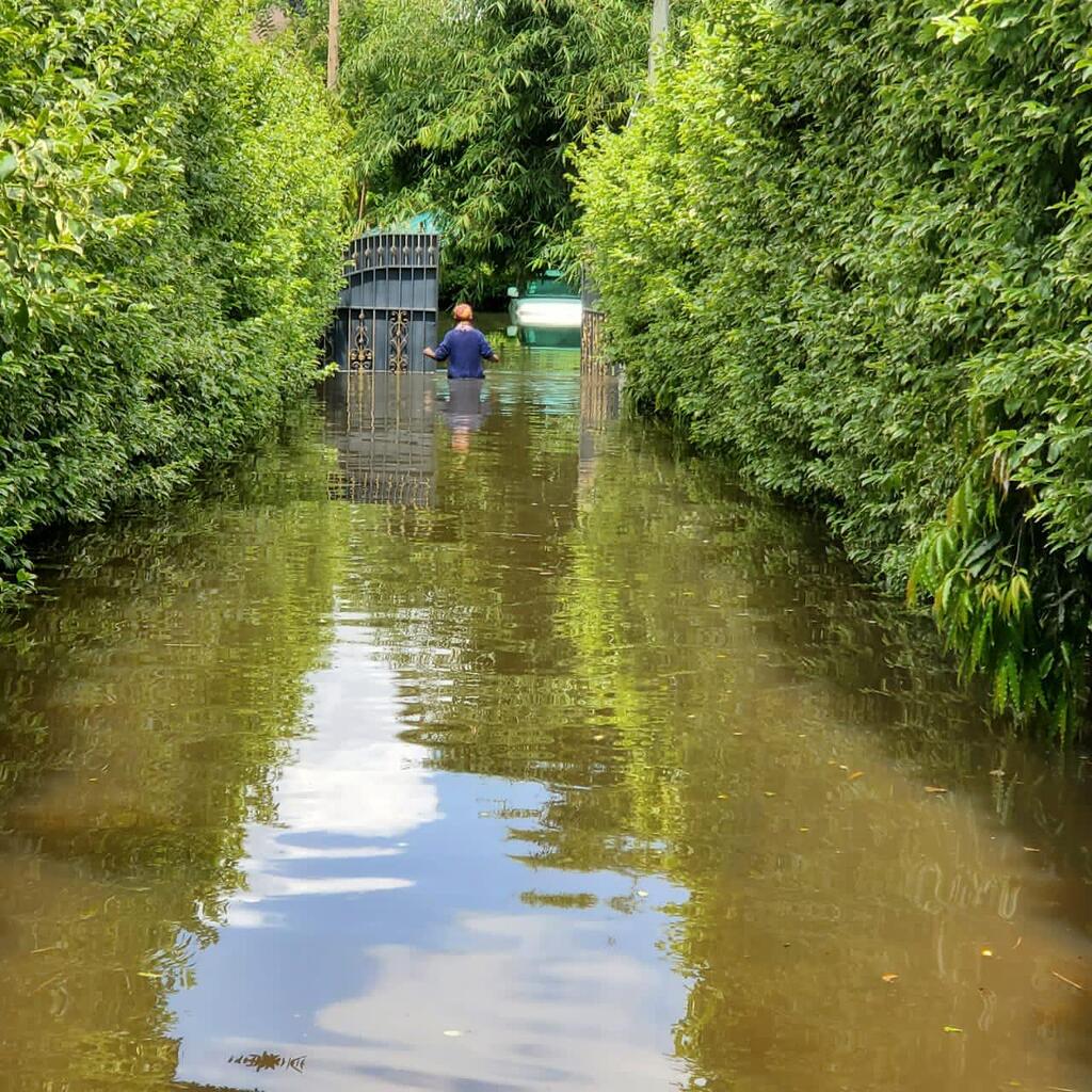 Kule leafy surburbs.. WAH - News & Politics - Kenya Talk