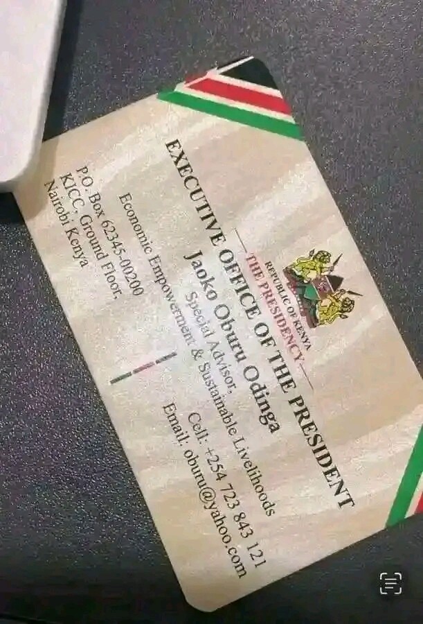 Jaoko Odinga, son of Oburu Odinga appointed economic advisor to Ruto ...