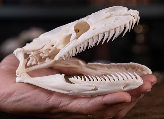 Reckless Parenting - Sex & Relationships - Kenya Talk