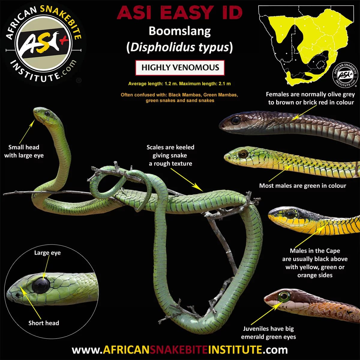 Ogopa huyu nyoka - General - Kenya Talk