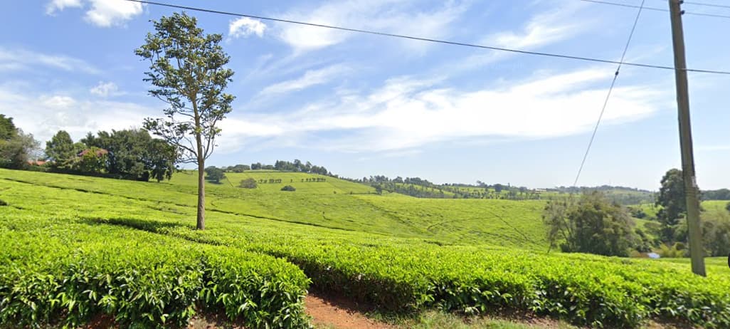 Tigoni is the new Runda? - General - Kenya Talk