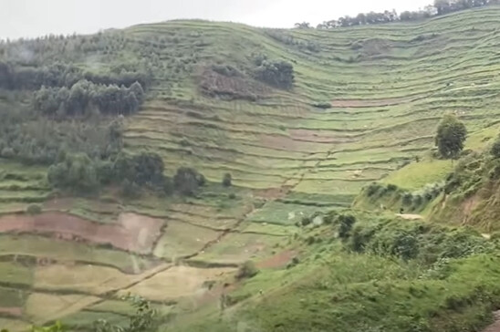 @sani amefanya kazi buana kule mau forest - News & Politics - Kenya Talk