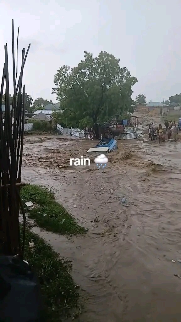 Stupid driver crosses a swollen river - News & Politics - Kenya Talk
