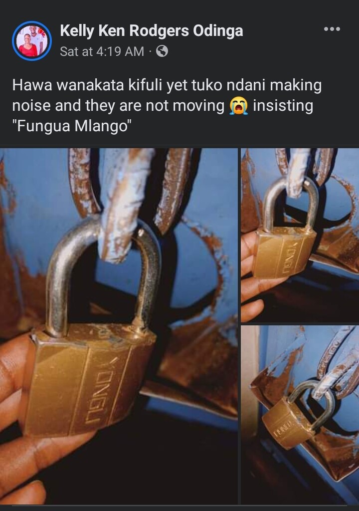 Bold Thieves of Nyamasaria - General - Kenya Talk