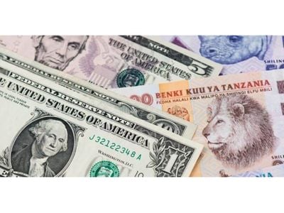 Tanzania shilling hits Tsh2,428 against 1 US dollar - News & Politics ...