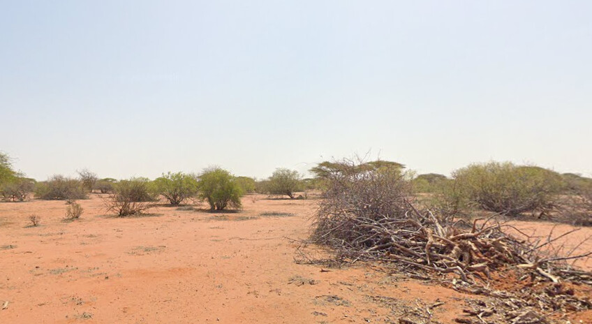 @Bingwa scrotum aliweka stima na Uhuru kule North Eastern - News ...